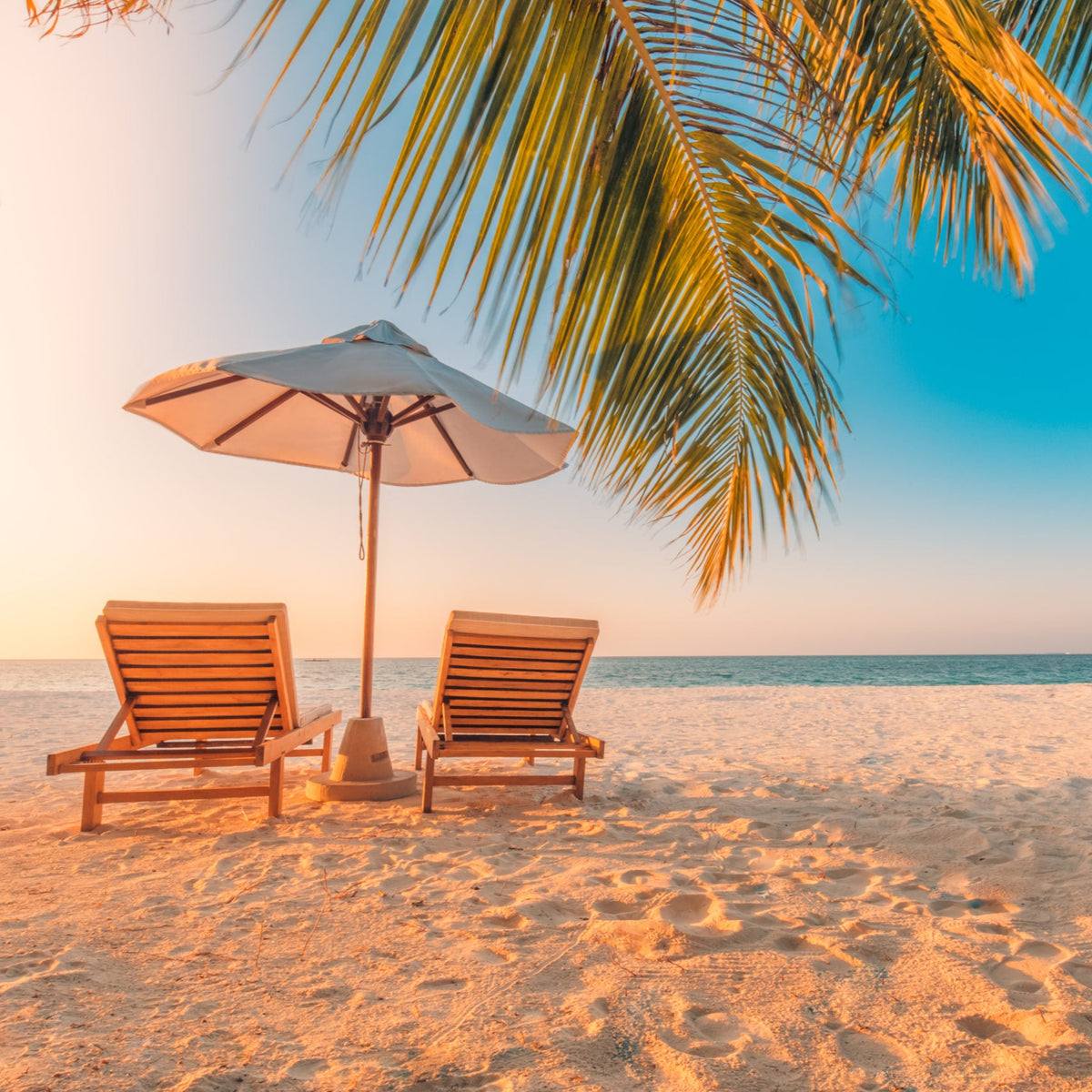 Cheirosa 68 Fragrance Oil – The Freshie Junkie, LLC