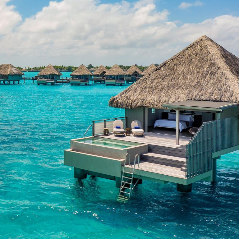 Bora Bora Fragrance Oil – The Freshie Junkie, LLC