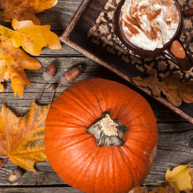 Spiced Pumpkin & Patchouli Fragrance Oil – The Freshie Junkie, LLC